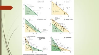 Factors affecting interspecific competition in insects | PPTX