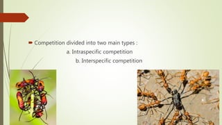 Factors affecting interspecific competition in insects | PPTX