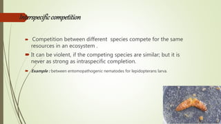 Factors affecting interspecific competition in insects | PPTX