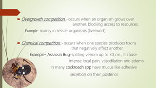 Intraspecific Competition Examples