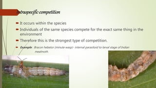 Interspecific Competition Examples