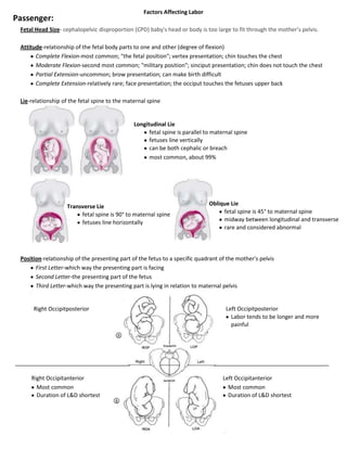 Factors affecting labor | DOCX