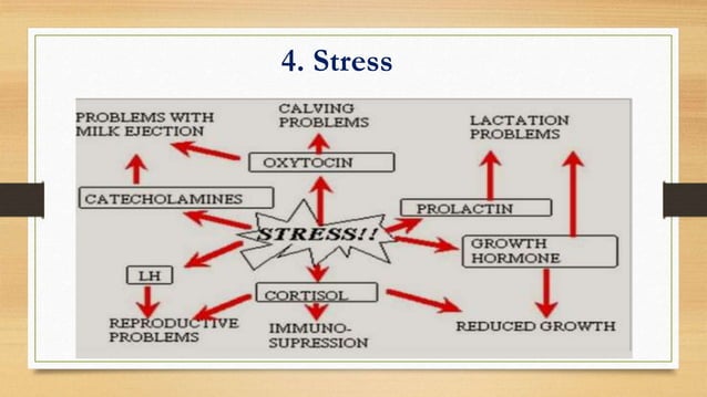 Factors affecting milk production | PPTX