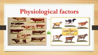 Factors affecting milk production | PPTX