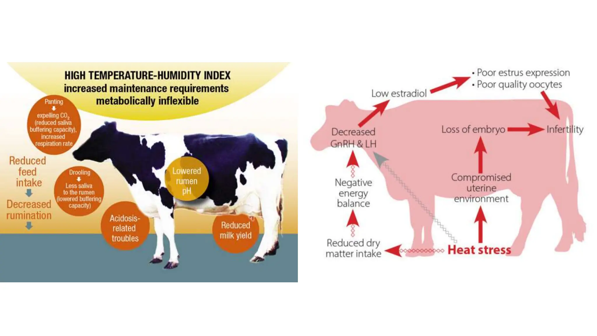 Factors affecting milk quality and quantity | PPTX