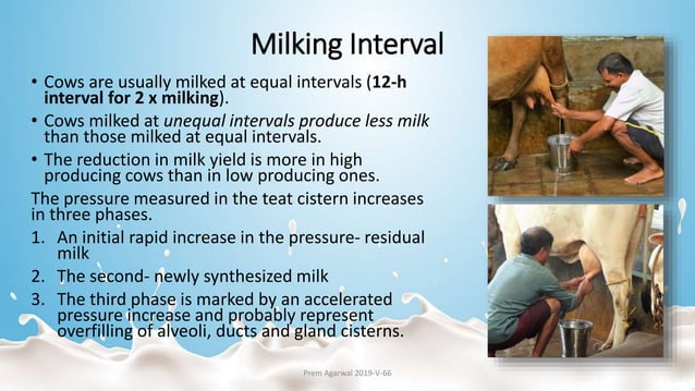 Factors affecting milk quality and quantity | PPTX | Agriculture ...