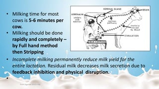 Factors affecting milk quality and quantity | PPTX