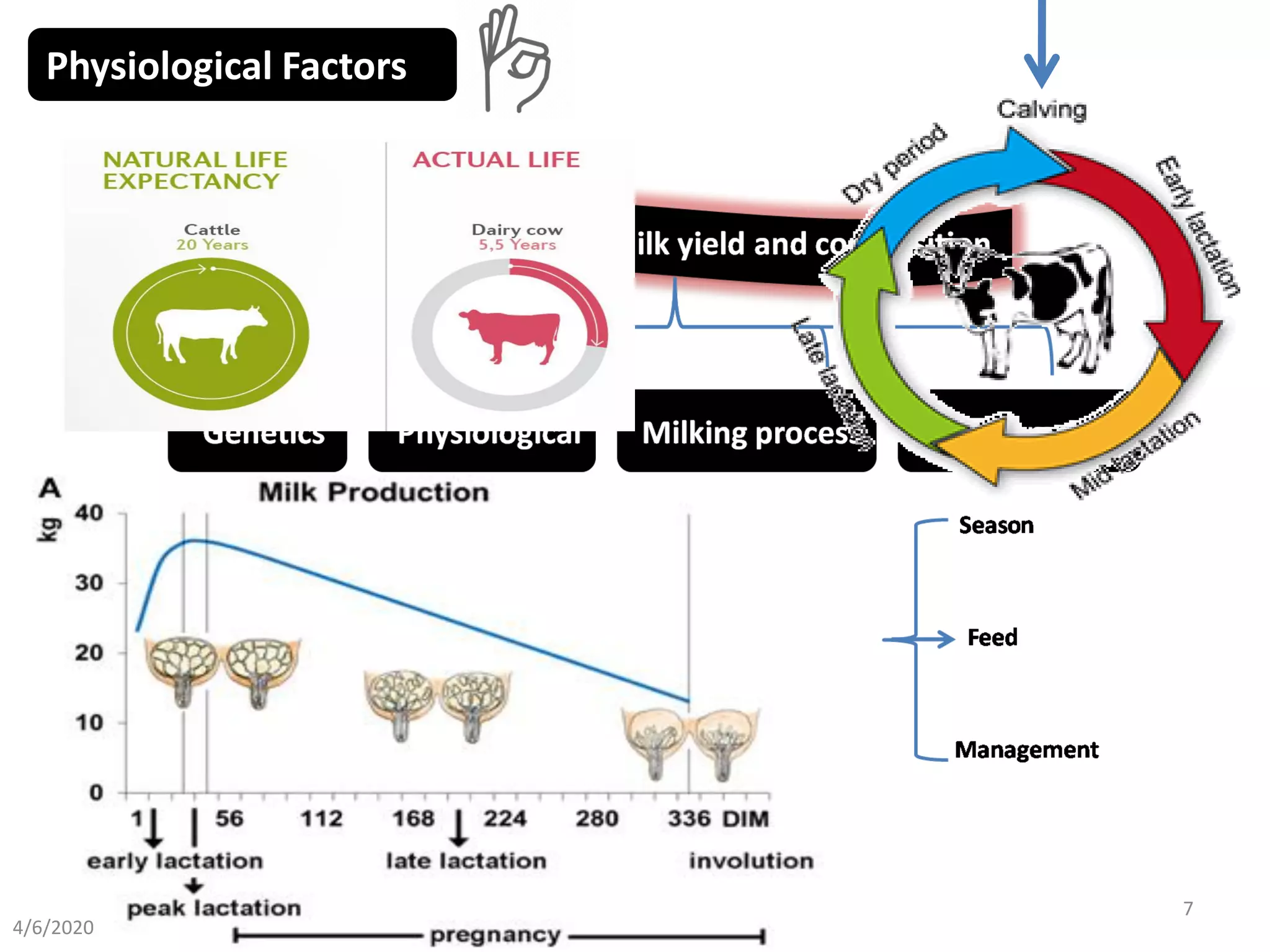Factors Affecting Milk Yield Andcomp April2020 Ppt