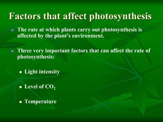 Factors Affecting Photosynthesis | PPT