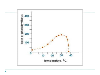 Factors affecting photosynthesis | PPTX