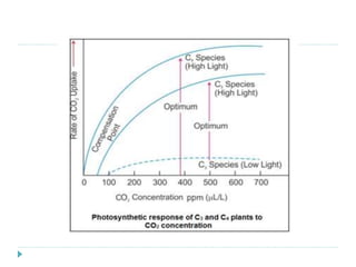 Factors affecting photosynthesis | PPTX