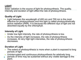 Factors affecting photosynthesis | PPTX