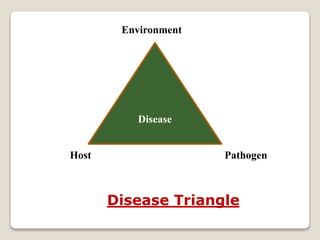 Factors affecting plant disease epidemics | PPTX