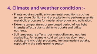 Factors affecting plants nutrients Horticulture.pptx