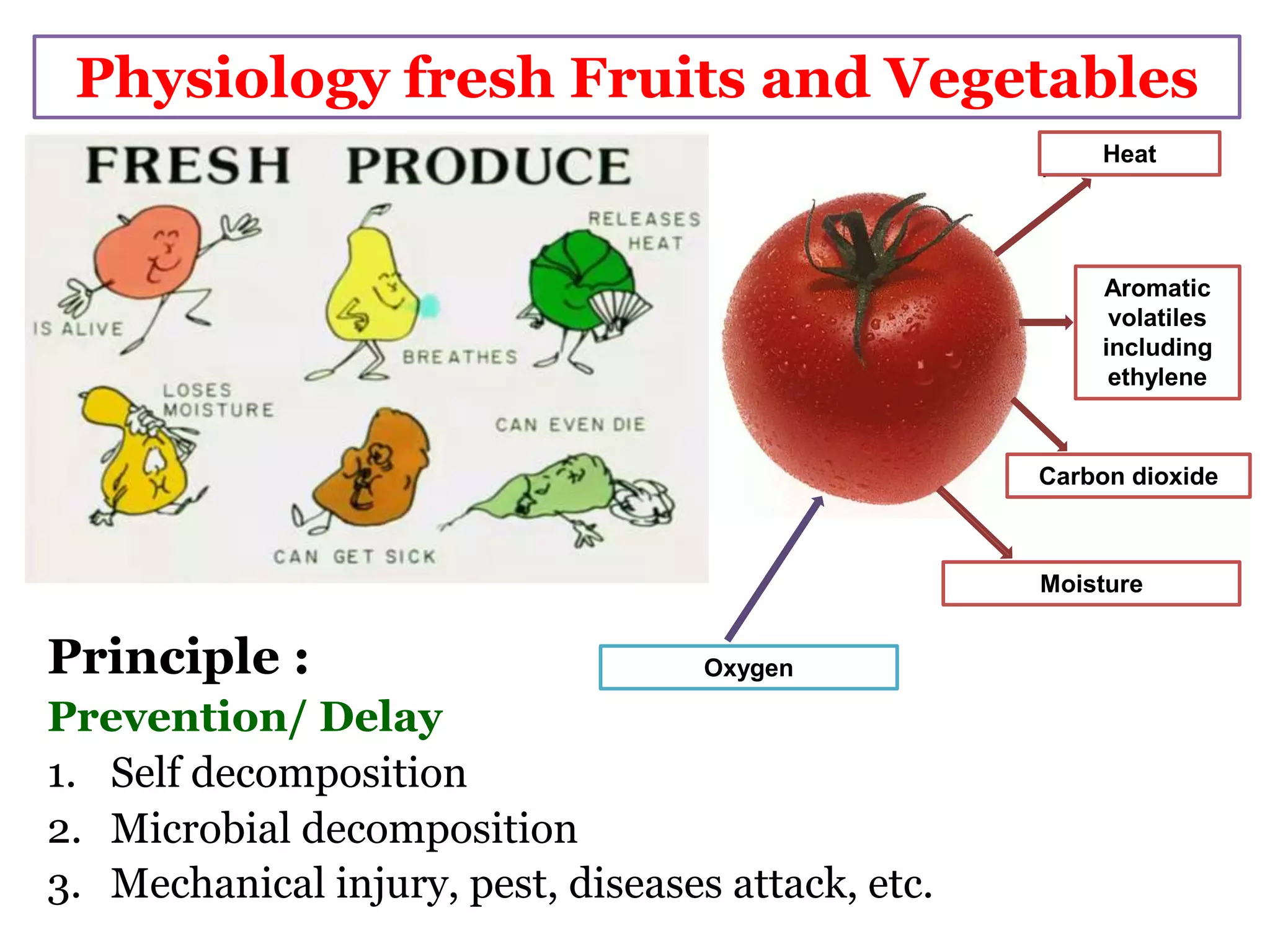 Factors affecting postharvest storability of fresh fruits and vegetables | PPTX