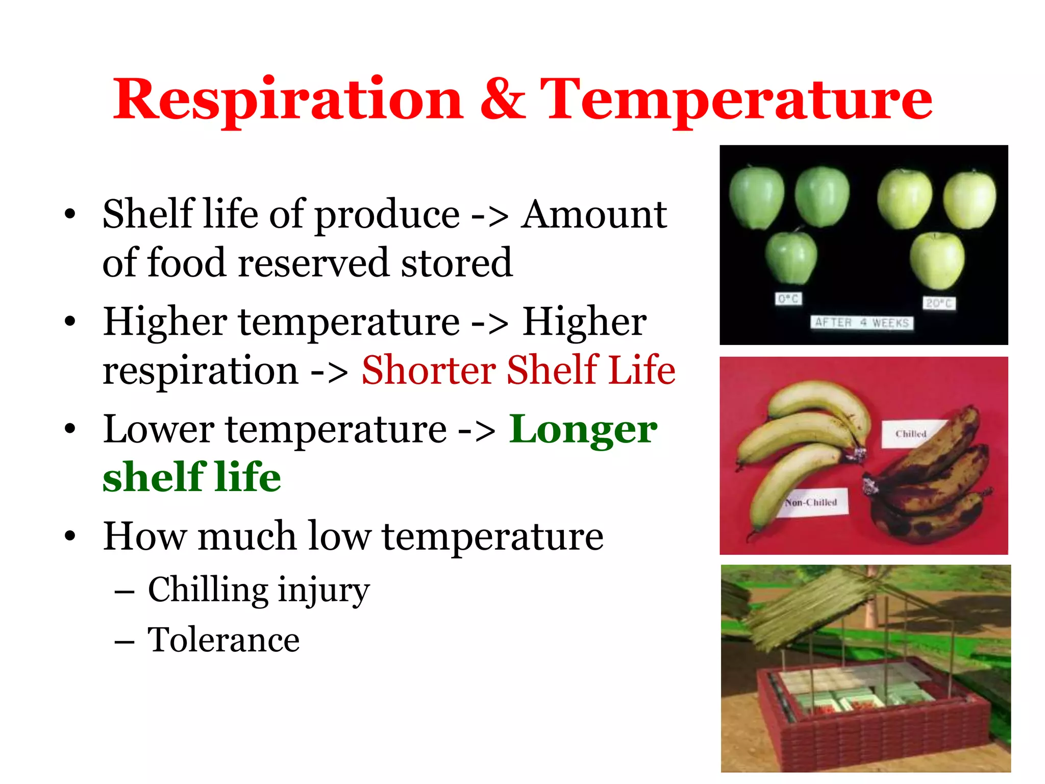 Factors affecting postharvest storability of fresh fruits and ...