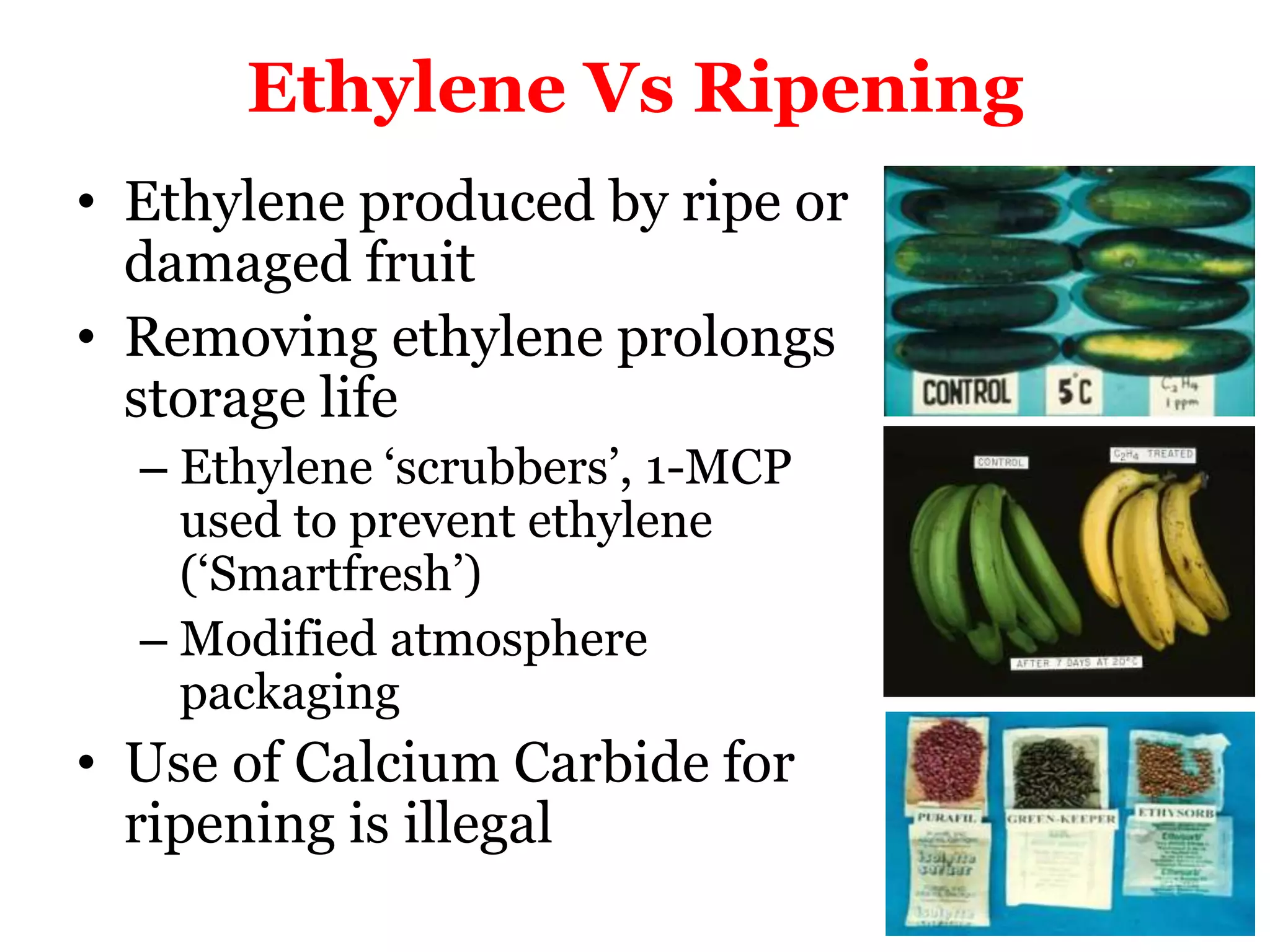 Factors affecting postharvest storability of fresh fruits and ...