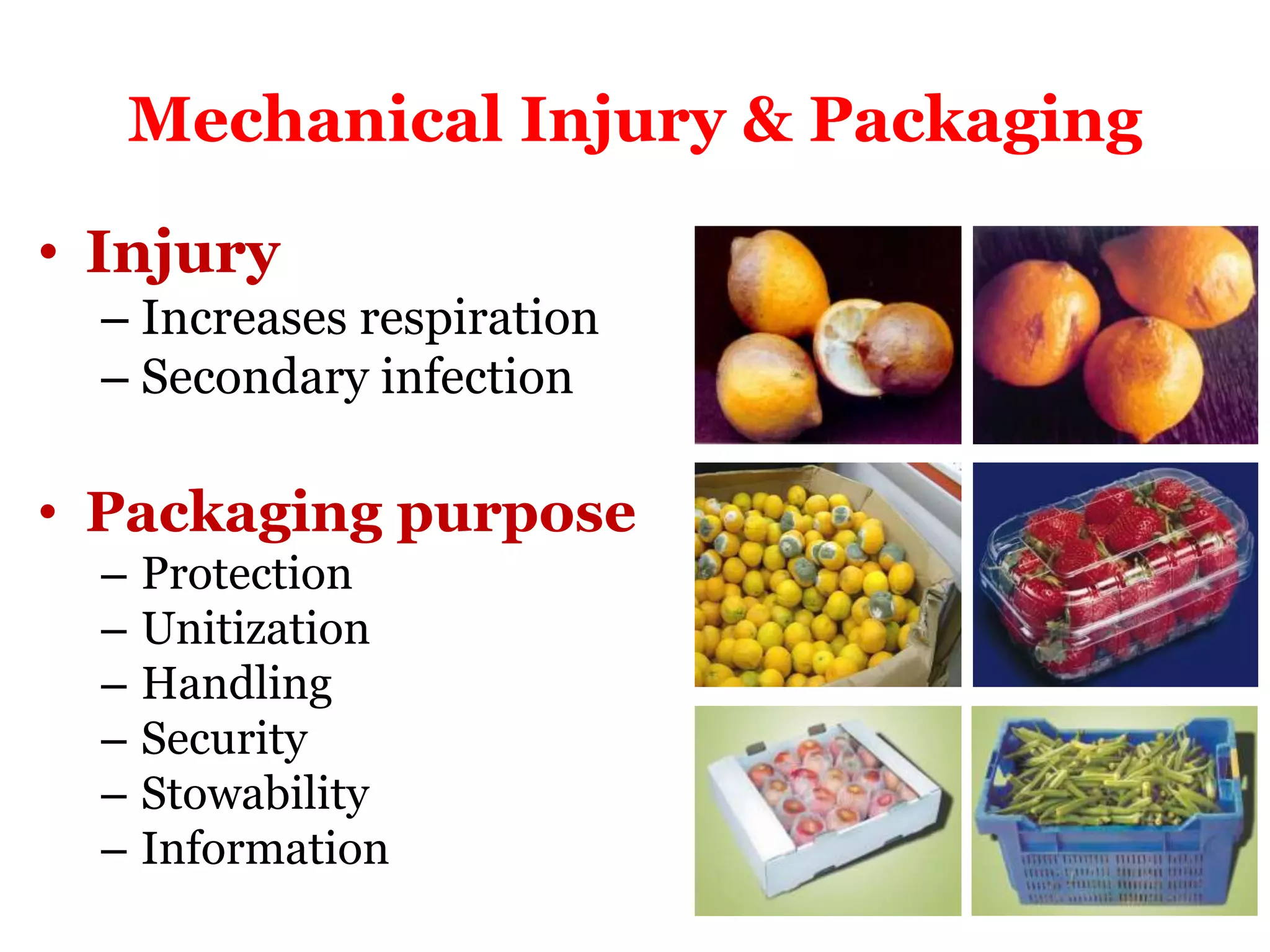 Factors affecting postharvest storability of fresh fruits and ...