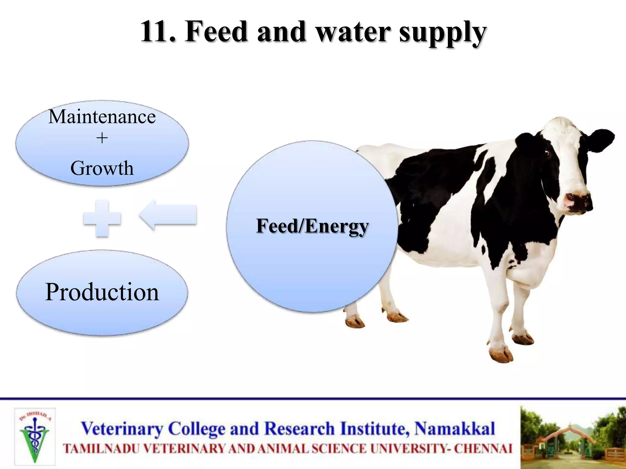 Factors affecting quality and quantity of milk in dairy cattle | PPTX