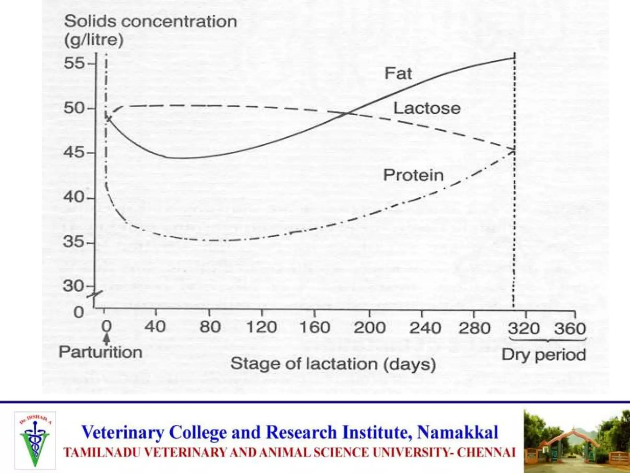 Factors affecting quality and quantity of milk in dairy cattle | PPTX
