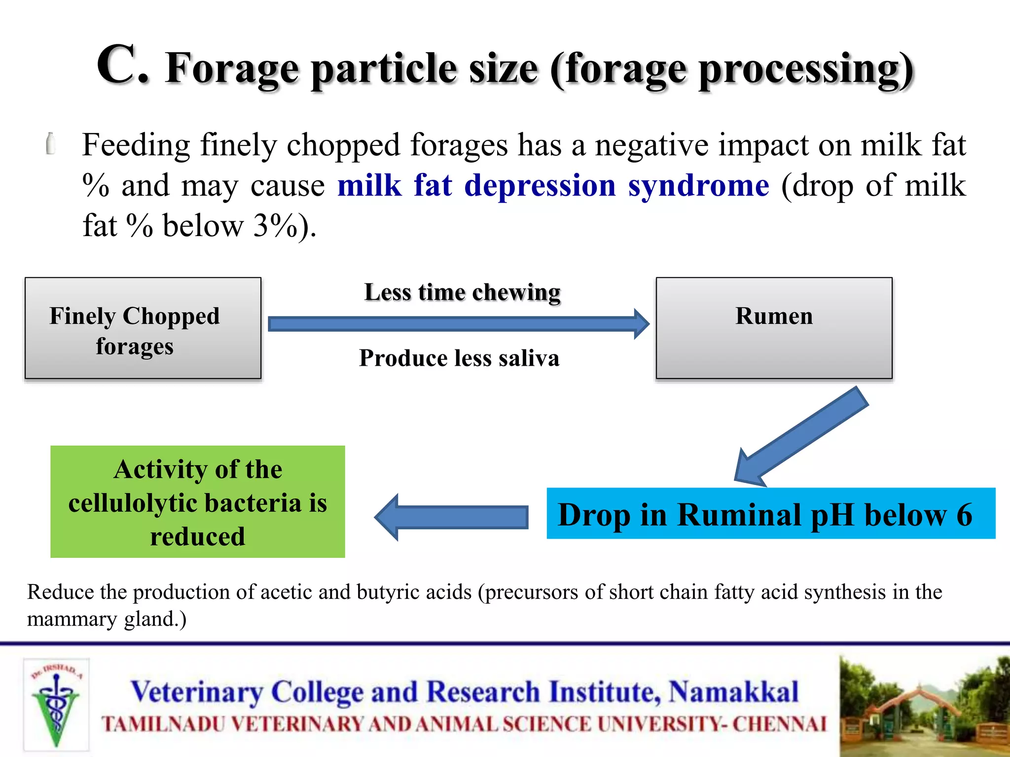 Factors affecting quality and quantity of milk in dairy cattle | PPTX