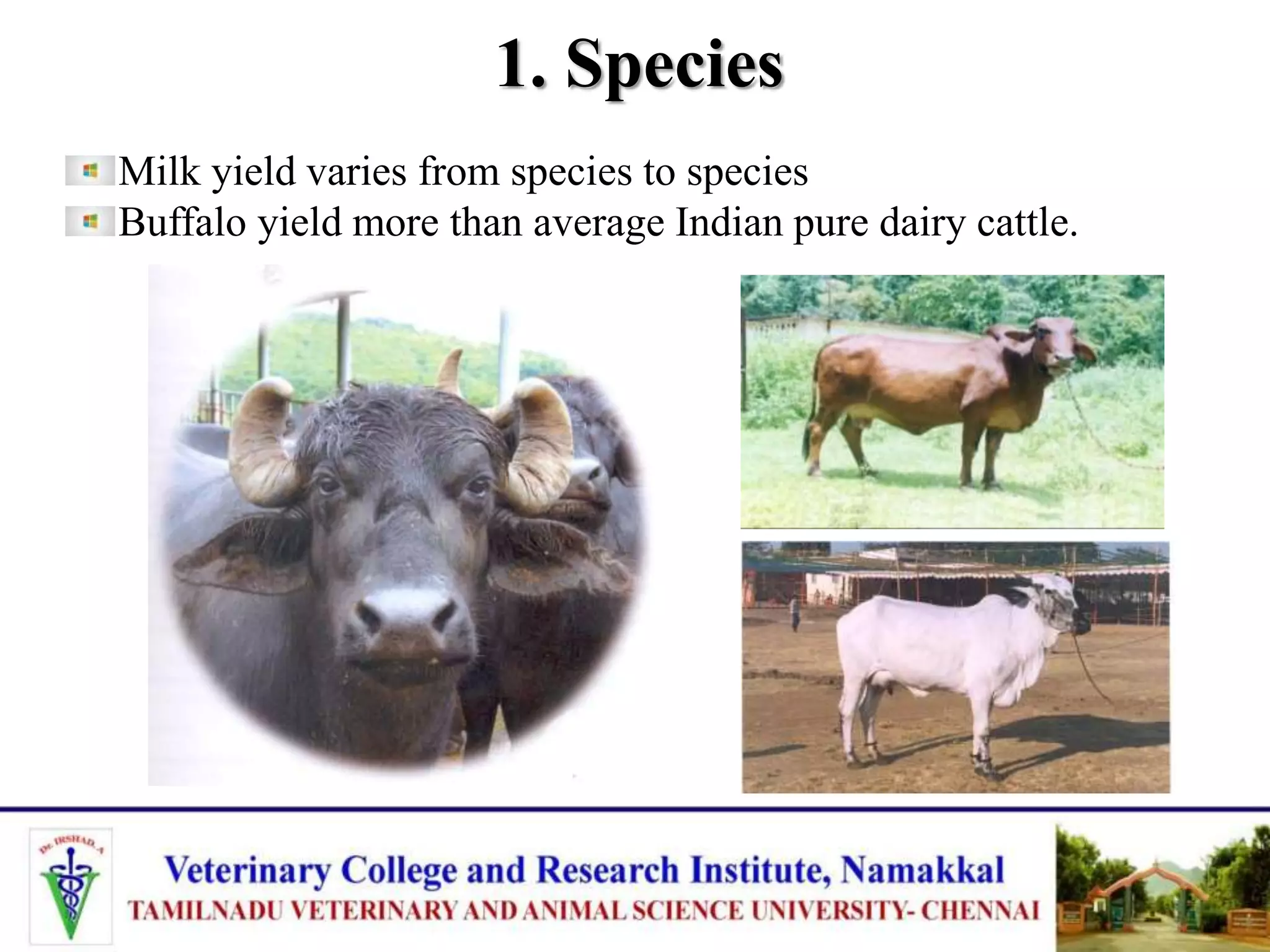 Factors affecting quality and quantity of milk in dairy cattle | PPTX