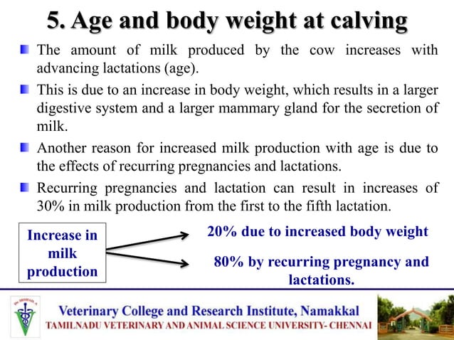 Factors affecting quality and quantity of milk in dairy cattle | PPTX | Food & Drink