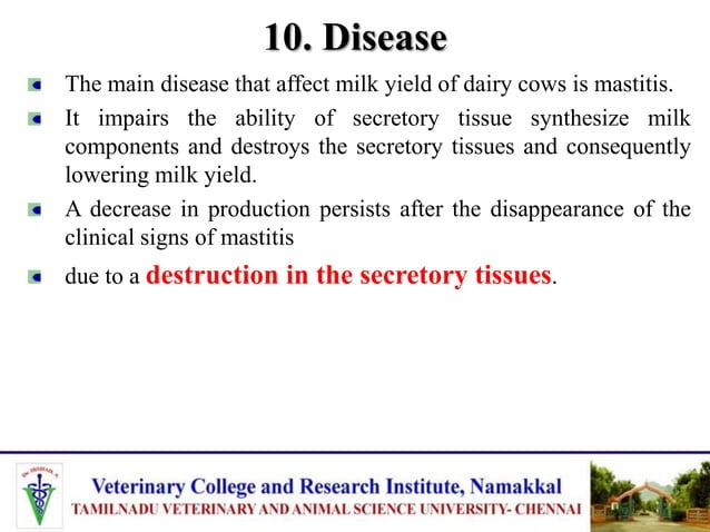 Factors affecting quality and quantity of milk in dairy cattle | PPTX | Food & Drink