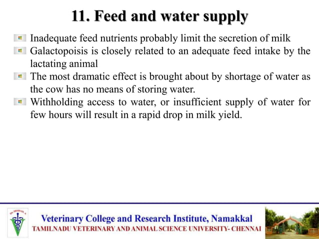 Factors affecting quality and quantity of milk in dairy cattle | PPTX | Food & Drink
