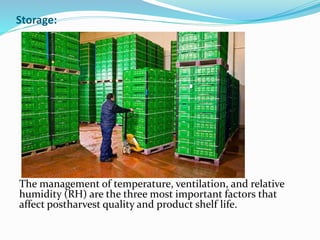 FACTORS AFFECTING QUALITY OF FRESH PRODUCE | PPTX