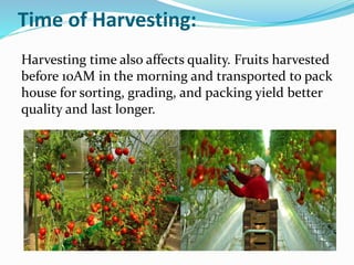 FACTORS AFFECTING QUALITY OF FRESH PRODUCE | PPTX