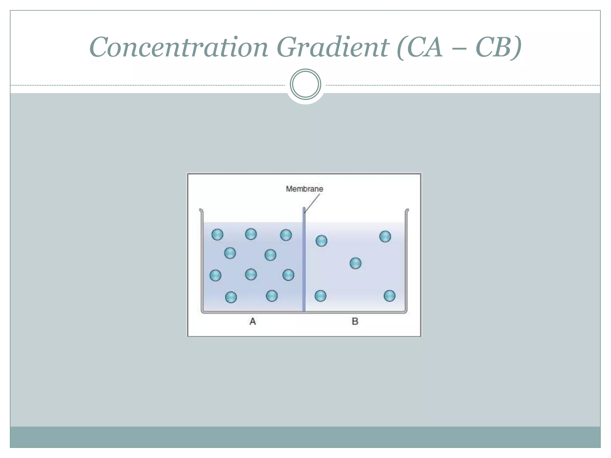 Factors affecting rate of diffusion | PPTX