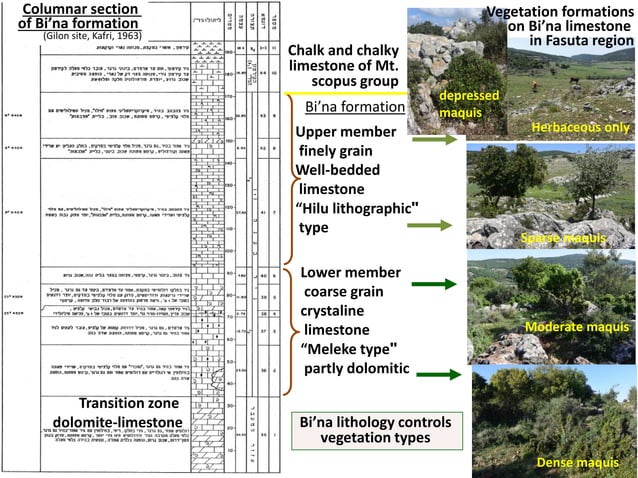 Factors affecting rock soil systems, which controling vegetation ...