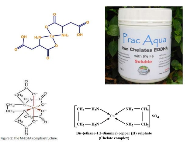 Factors affecting stability of complex and Chalets.pptx