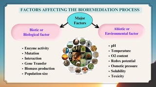 FACTORS AFFECTING THE BIOREMEDIATION PROCESS.pdf