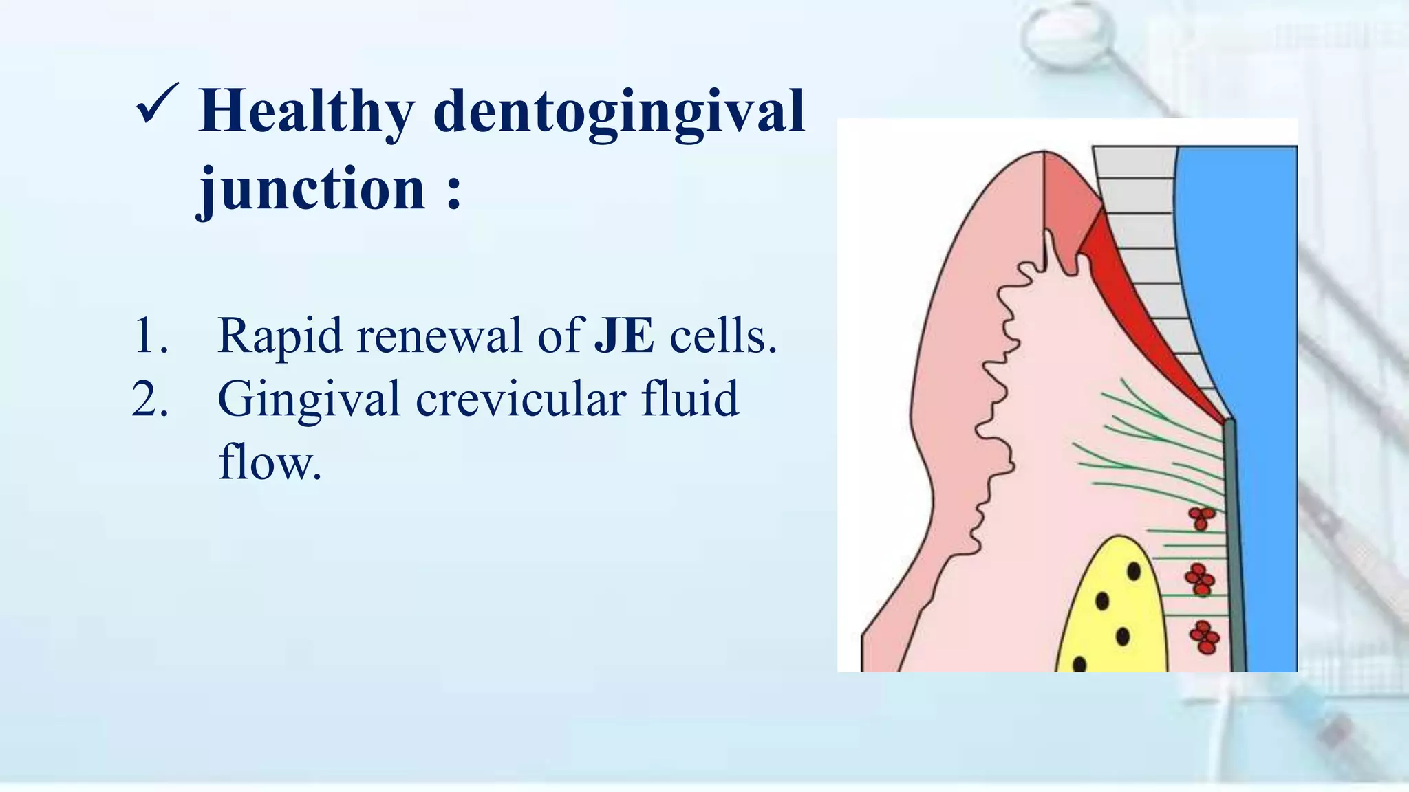Factors affecting the dgj | PPTX | Dental Health | Diseases and Conditions