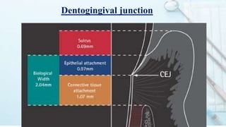 Factors affecting the dgj | PPTX