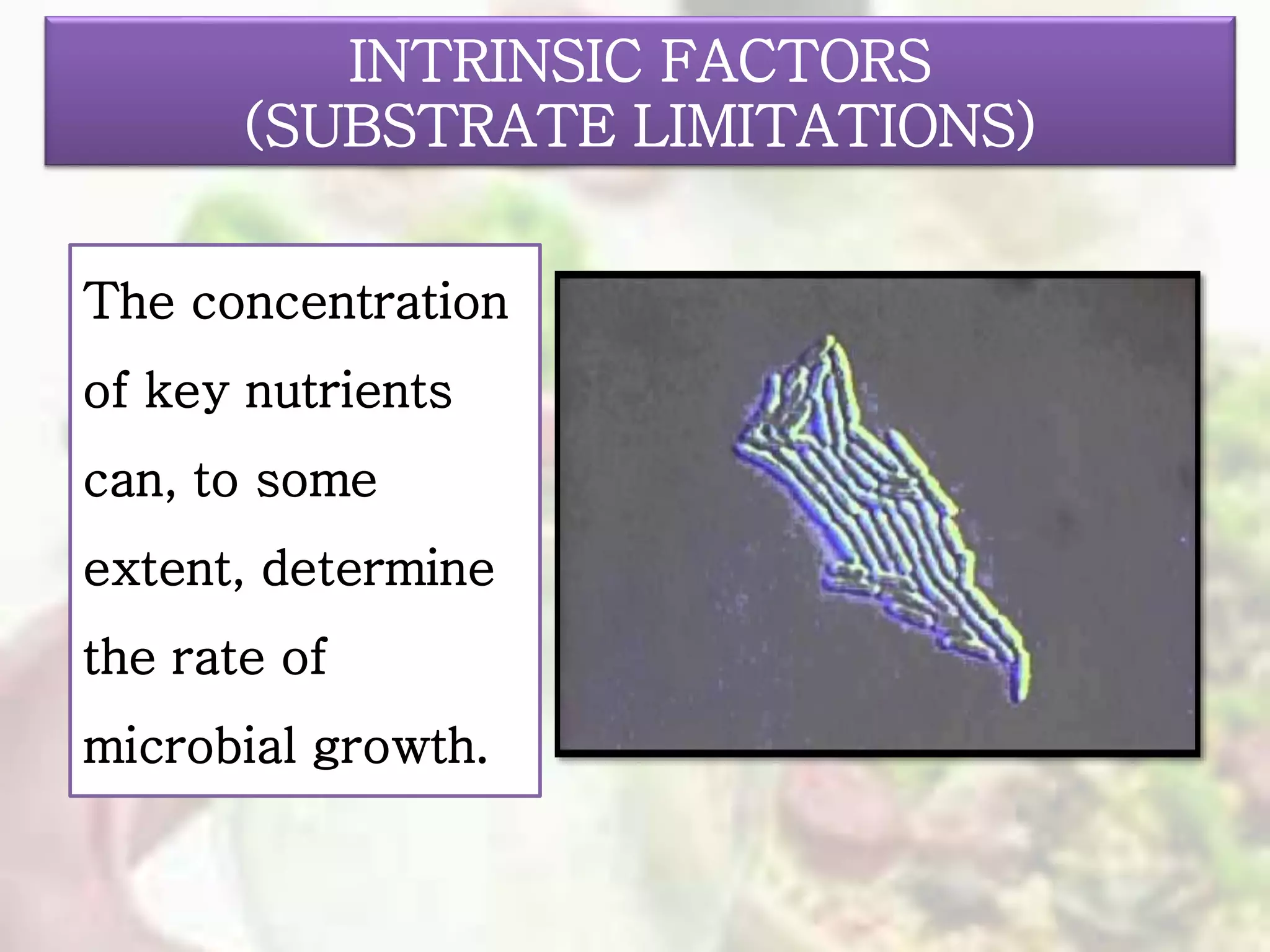 Factors affecting the growth and survival of micro organisms in foods ...