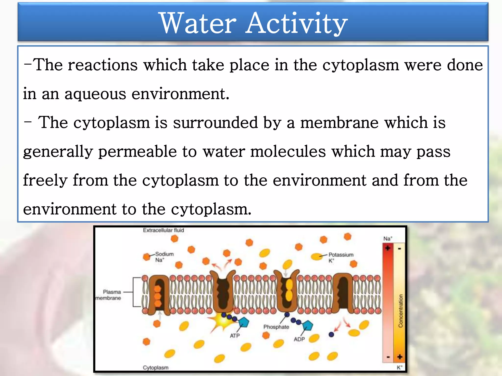 Factors affecting the growth and survival of micro organisms in foods | PPTX