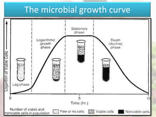 Factors affecting the growth and survival of micro organisms in foods ...