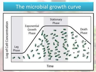 Factors affecting the growth and survival of micro organisms in foods ...