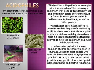 Factors affecting the growth of microbes | PPT