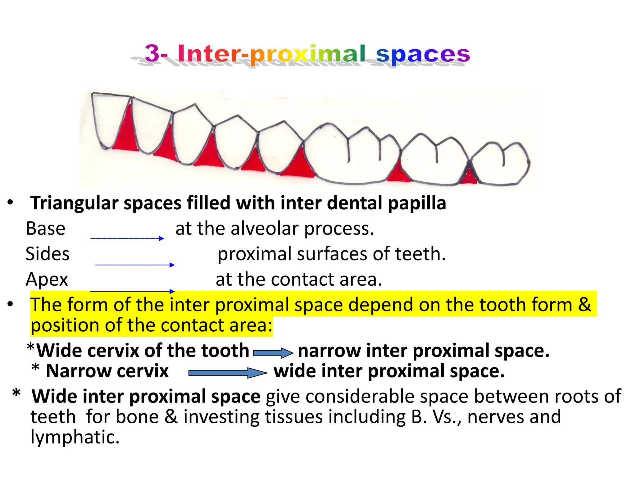 factors affecting the periodontiumcgbvvbb.pdf
