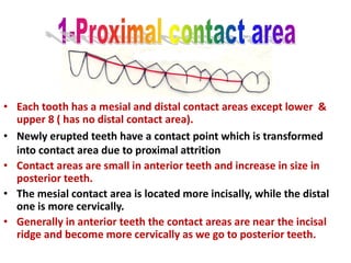 factors affecting the periodontiumcgbvvbb.pdf