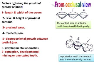 factors affecting the periodontiumcgbvvbb.pdf