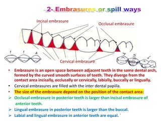 factors affecting the periodontiumcgbvvbb.pdf