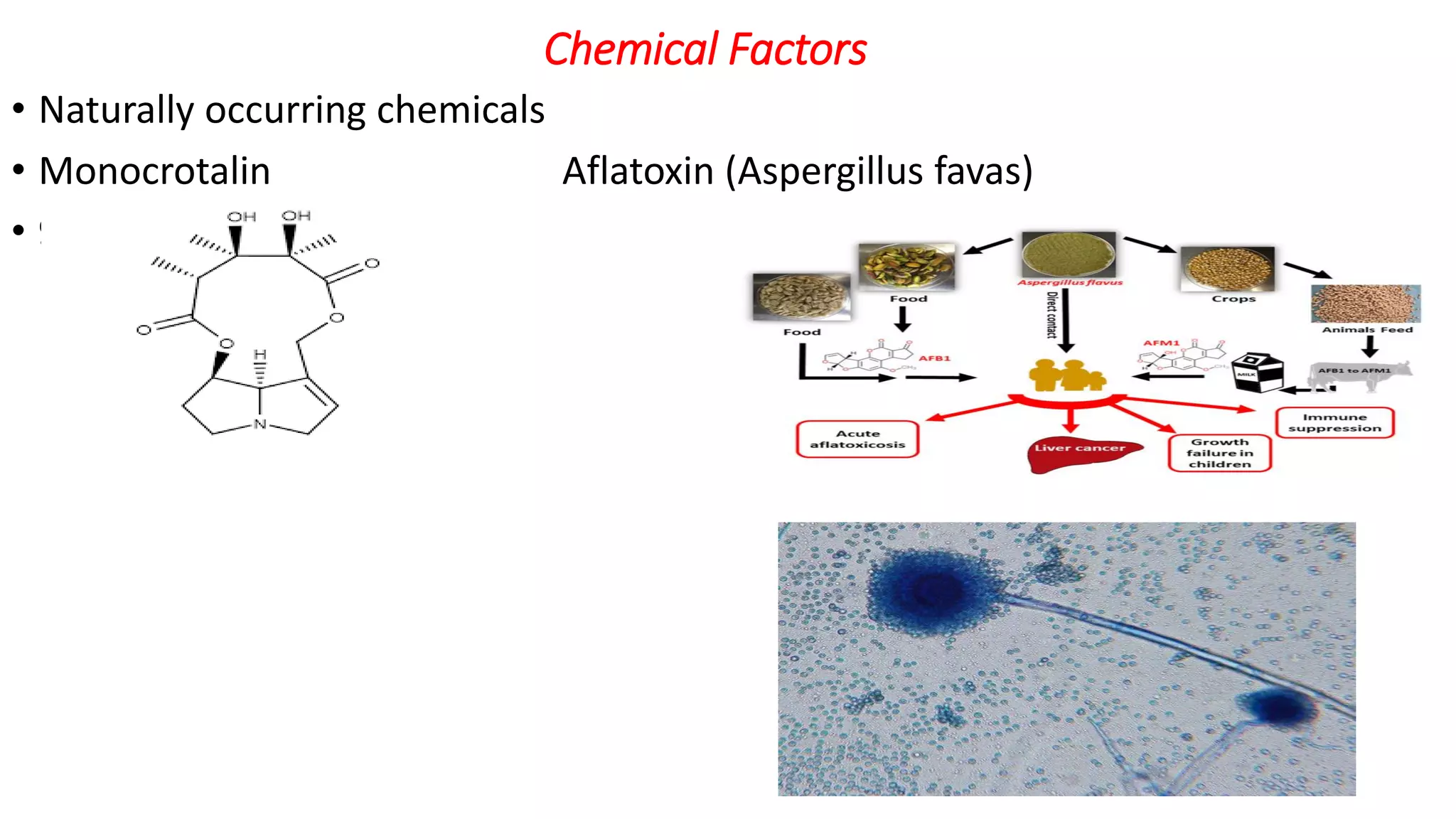 Factors affecting toxicology | PDF