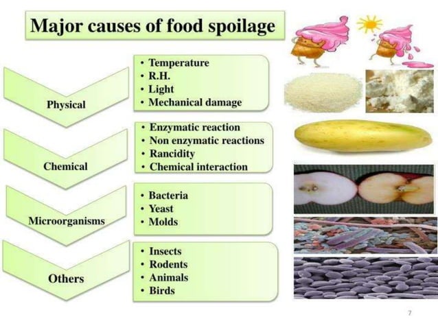 Factors causing spoilage | PPTX | Food & Drink