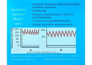 Factors controlling BP.pdfBlood pressure is lateral pressure exerted on ...