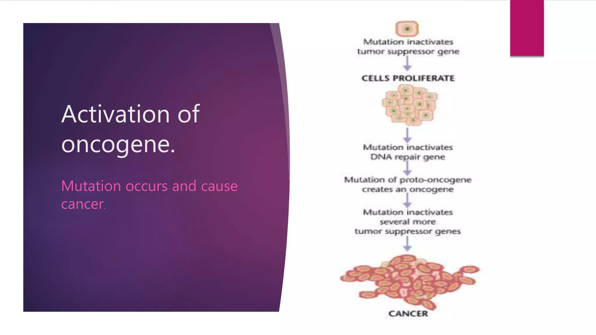 Factors controlling growth, Oncogenesis | PPTX